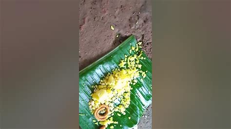 आम्ही कोकणकर कोकण सुख कोकणसंस्कृती कोकणकन्या New Viralshort Youtube