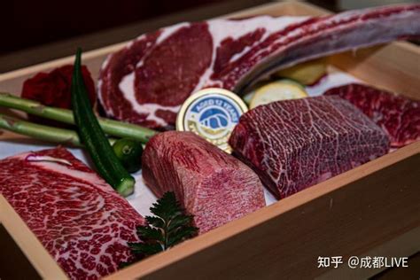 西南首家新派轻奢烧肉酒廊开业！全新定义烧肉与品酒 知乎