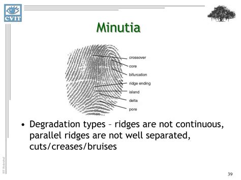 Ppt Cascaded Filtering For Biometric Identification Using Random Projection Powerpoint
