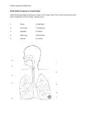 MA 20 Unit 4 Written Assignment Docx Written Assignment MA20 Unit 4