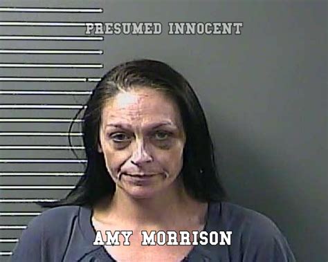 Amy Morrison Big Sandy Area Mugshots News