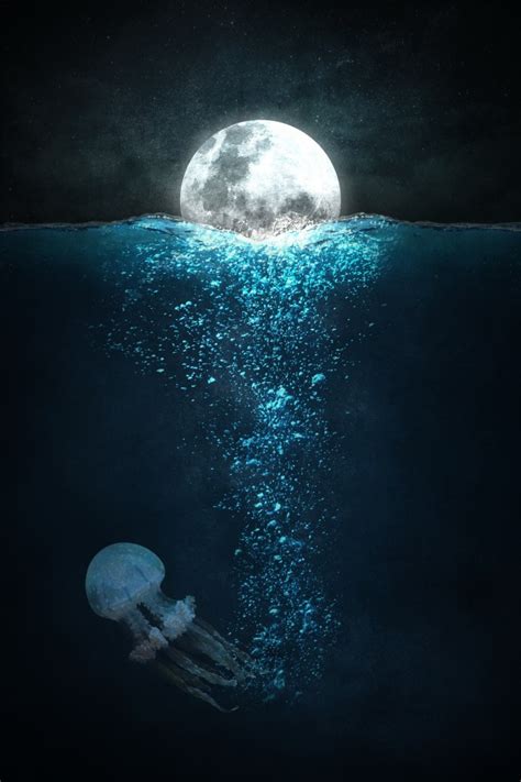 月球海洋水母图片 站长素材