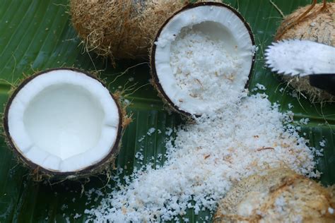What Is The Coconut Challenge On Tiktok The Us Sun