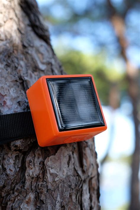 Trees Themselves Raise Wildfire Alarm In Forestguard Detection System
