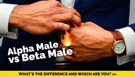 Alpha Male Vs Beta Male What S The Difference