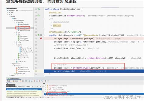 分页页码获取 总条数的计算 CSDN博客