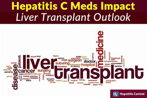 Hepatitis C Meds Impact Liver Transplant Outlook Hepatitis Central