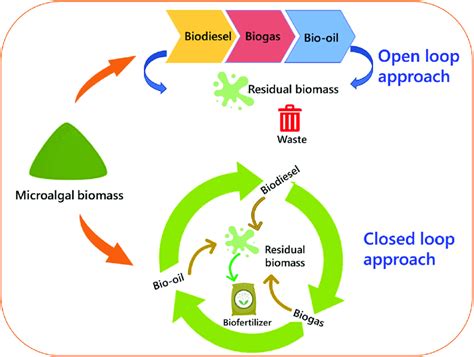 Open Loop And Closed Loop Approaches In Microalgal Technology For