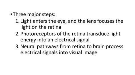 Solution Physiology Of Vision Studypool