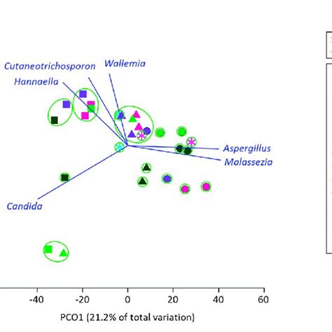 Principal Coordinates Plot Characterizing Fungal Microbiota Of Soybean Download Scientific