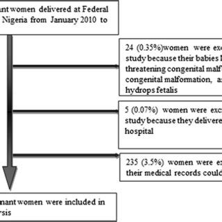 Follow Up Of Study Participants Download Scientific Diagram