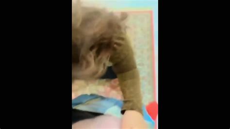 Pakistani Tiktoker Minahil Malik Sex Mms Leaked Eporner