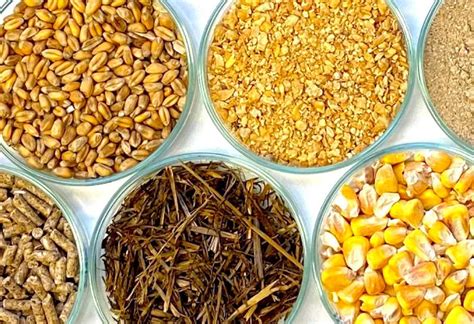 Ultrasorb R 3 0 Volac Feed Additives