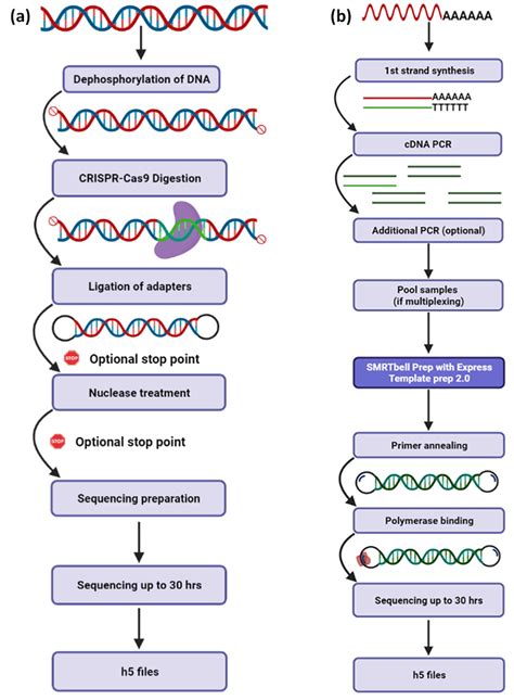 Next Generation Sequencing Workflow