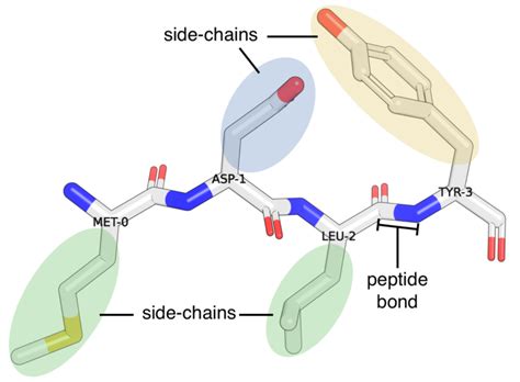 How To Solve The Protein Folding Problem Alphafold2 Towards Data Science
