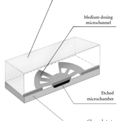 A Layout Of Microfluidic Gradient Mixer Used To Generate A Linear
