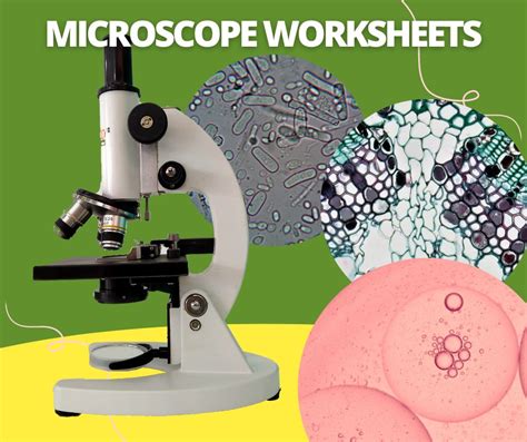 Microscope Activities And Worksheets — The Filipino Homeschooler