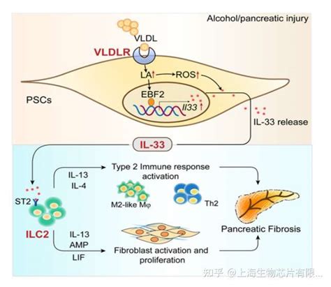 单细胞and空间转录组测序文献速览导读 生物器材网