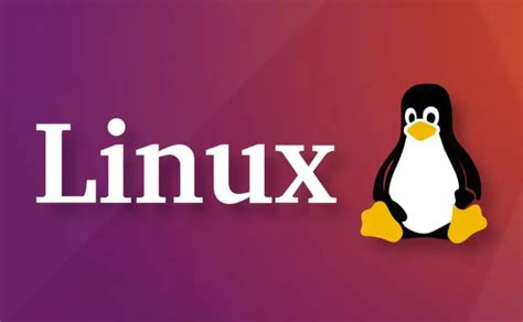 How To Delete A File In Linux Linux Phpcn