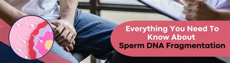 Sperm DNA Fragmentation - Everything You Need To Know About