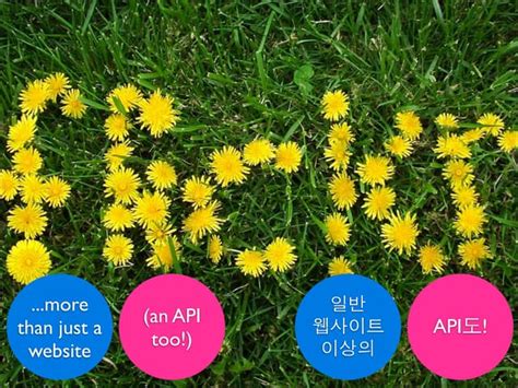 The Flickr Api An Introduction For Korean Developers Pdf
