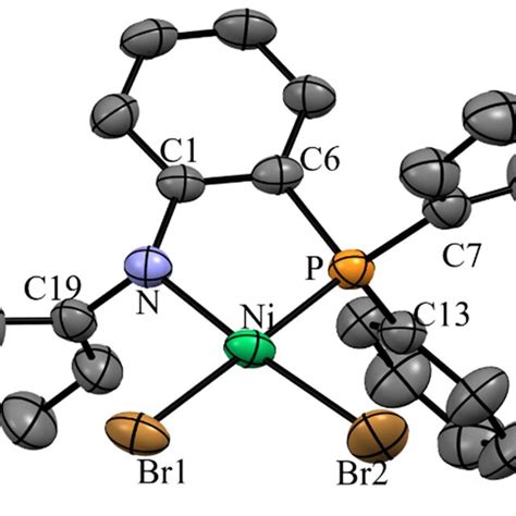 Oak Ridge Thermal Ellipsoid Plot ORTEP Representation Of Complex Ni1