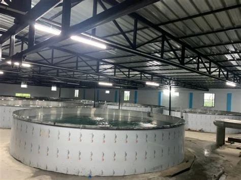 Recirculating Aquaculture System And Aquaculture Products Manufacturer