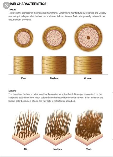 The Hair Shop The Difference Between Texture Fine