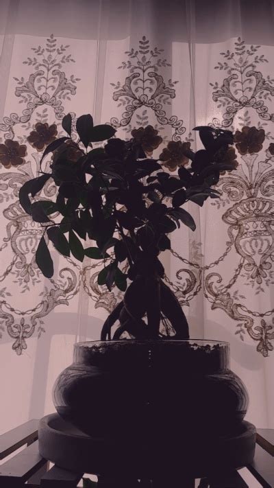 گل تو گلدون تستچی