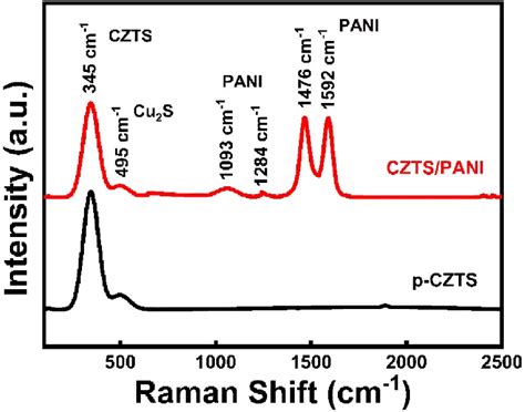 Raman Spectrum Of The Supercritical Fluid Synthesized Pristine Czts