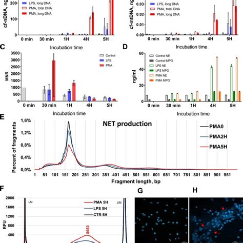 Kinetics Of Net Production In Vitro The Kinetics Of Cfdna As