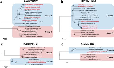 Phylogenetic Relationship Of The Six Baymv Isolates And Two Bammv