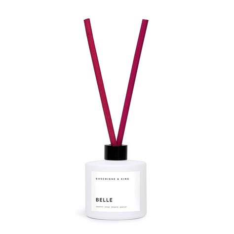 Belle Room Diffuser Wild Forager