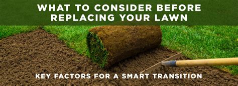 What To Consider Before Replacing Your Lawn Key Factors For A Smart