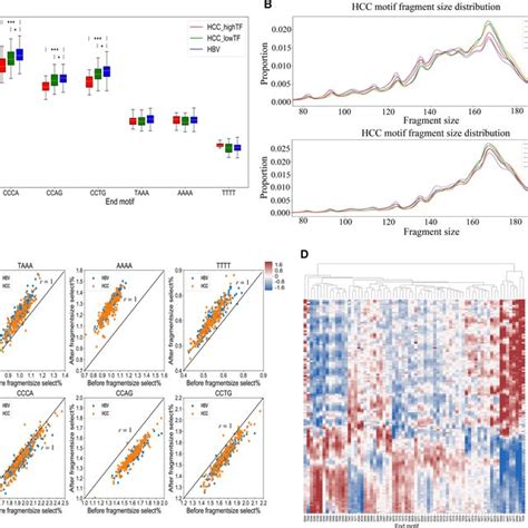 The Inherent Coupling Of Cfdna Fragment Size And End Motifs Which Might