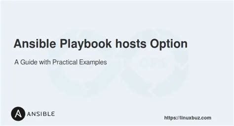 how to use the ansible playbook hosts option examples