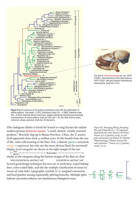Links Causal Arrows Networks Edward Tufte