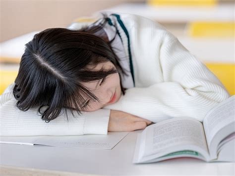 「秘密基地」に夢中になった時代、小学生にとって魅力だった“マル秘空間”の記憶 Cbc Magazine（cbcマガジン）