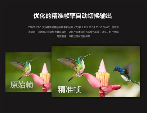 芝杜Z2000 PRO上市画质终极进化 4K新高度 PT邀请码网