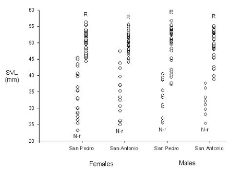 Reproductive Status As A Function Of Body Size In Females And Males