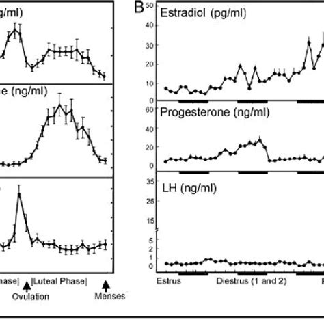 Sexing Rat And Mouse Pups The Anogenital Distance Is Longer In Males Download Scientific