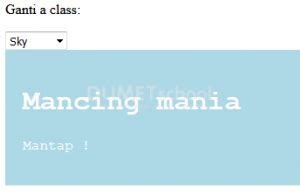 Fungsi Ng Class Pada AngularJS Kursus Website Digital Marketing Desain Grafis