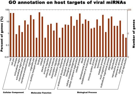 Go Annotation On Host Target Genes Of Viral Mirnas Go Functional Download Scientific Diagram