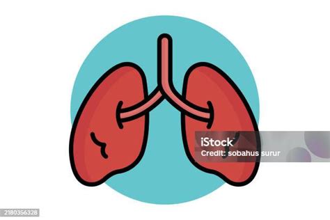 폐 아이콘입니다 색상이 지정된 윤곽선 아이콘 스타일입니다 의료와 관련된 아이콘입니다 건강 요소 벡터 일러스트 레이 션 건강관리와 의술에 대한 스톡 벡터 아트 및 기타 이미지