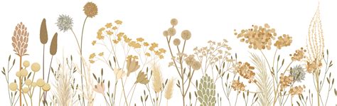 Madison Jones And Dylan Packs Wedding Website