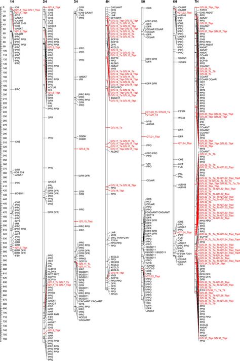 mapping of qtl loci and the predicated candidate genes in the barley