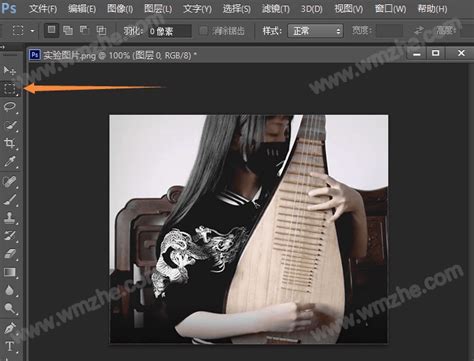用PS软件给图片加马赛克的具体操作方法 完美教程资讯