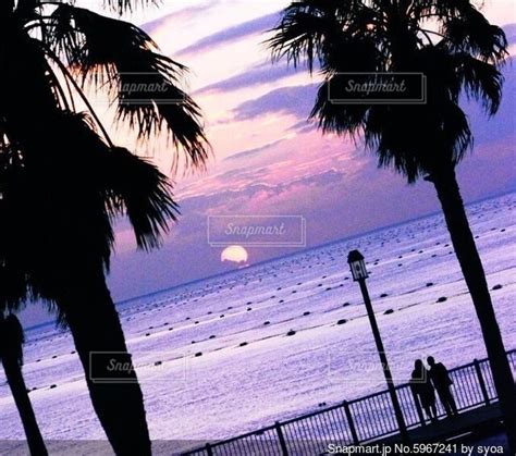 夕日を見送るカップルの写真・画像素材 5967241 Snapmart（スナップマート）