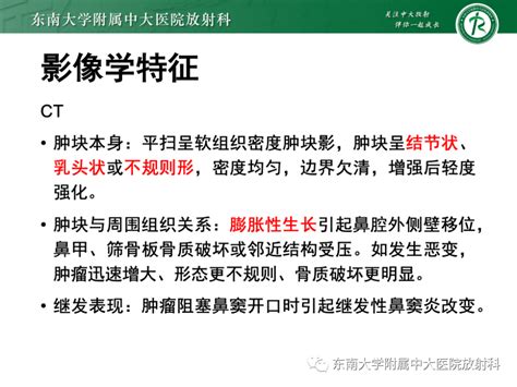 【ppt】鼻腔鼻窦内翻性乳头状瘤 影像ppt