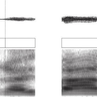Oscillogram And Spectrogram Representing Example Segmentation Of